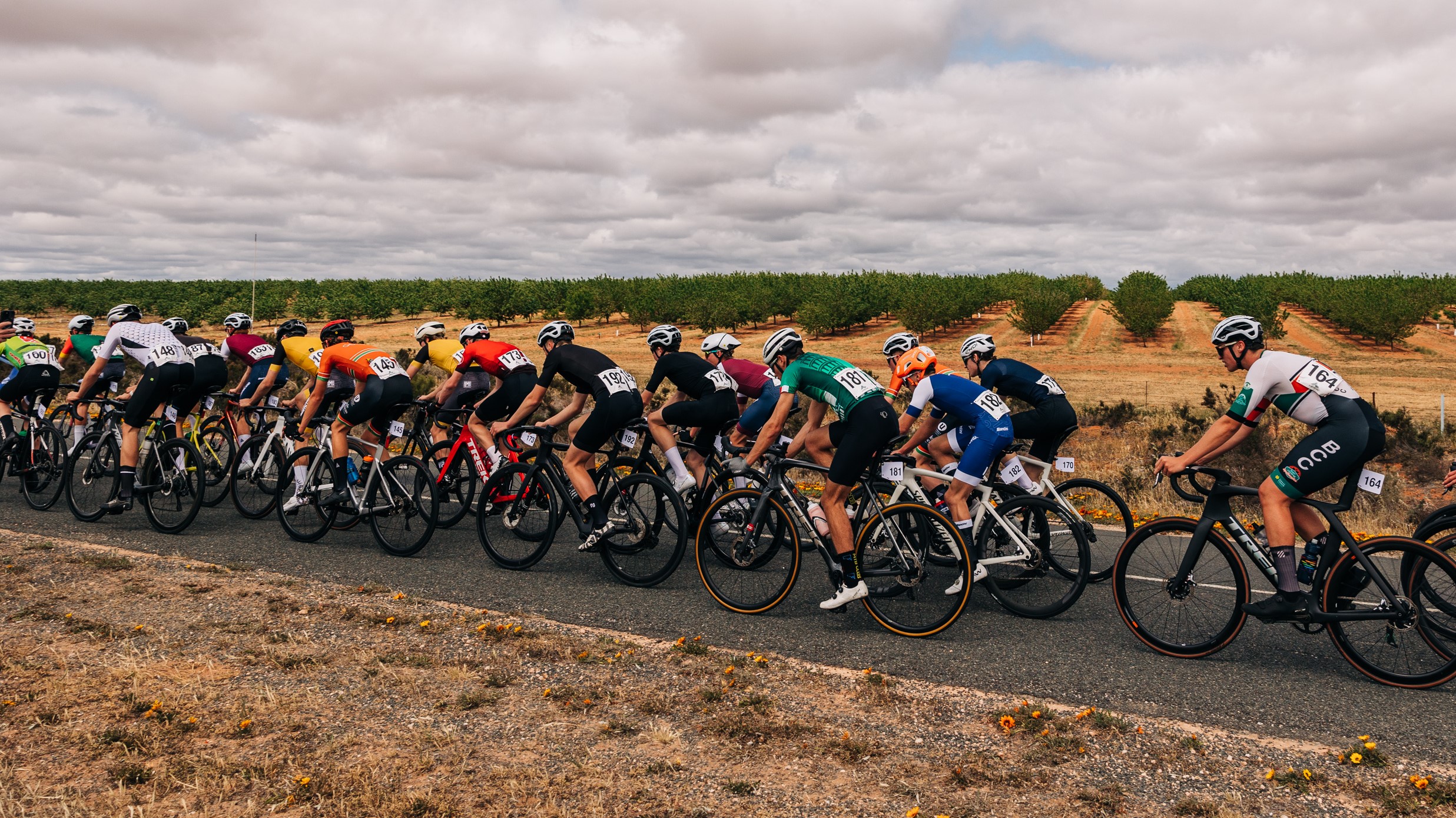 Development Academy heads to NZ for junior tour | AusCycling