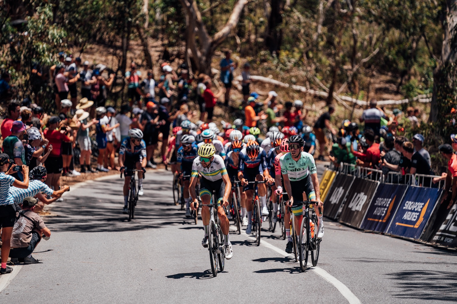 ARA Australian Cycling Team named for 2025 Tour Down Under and Cadel Evans Great Ocean Road Race ...